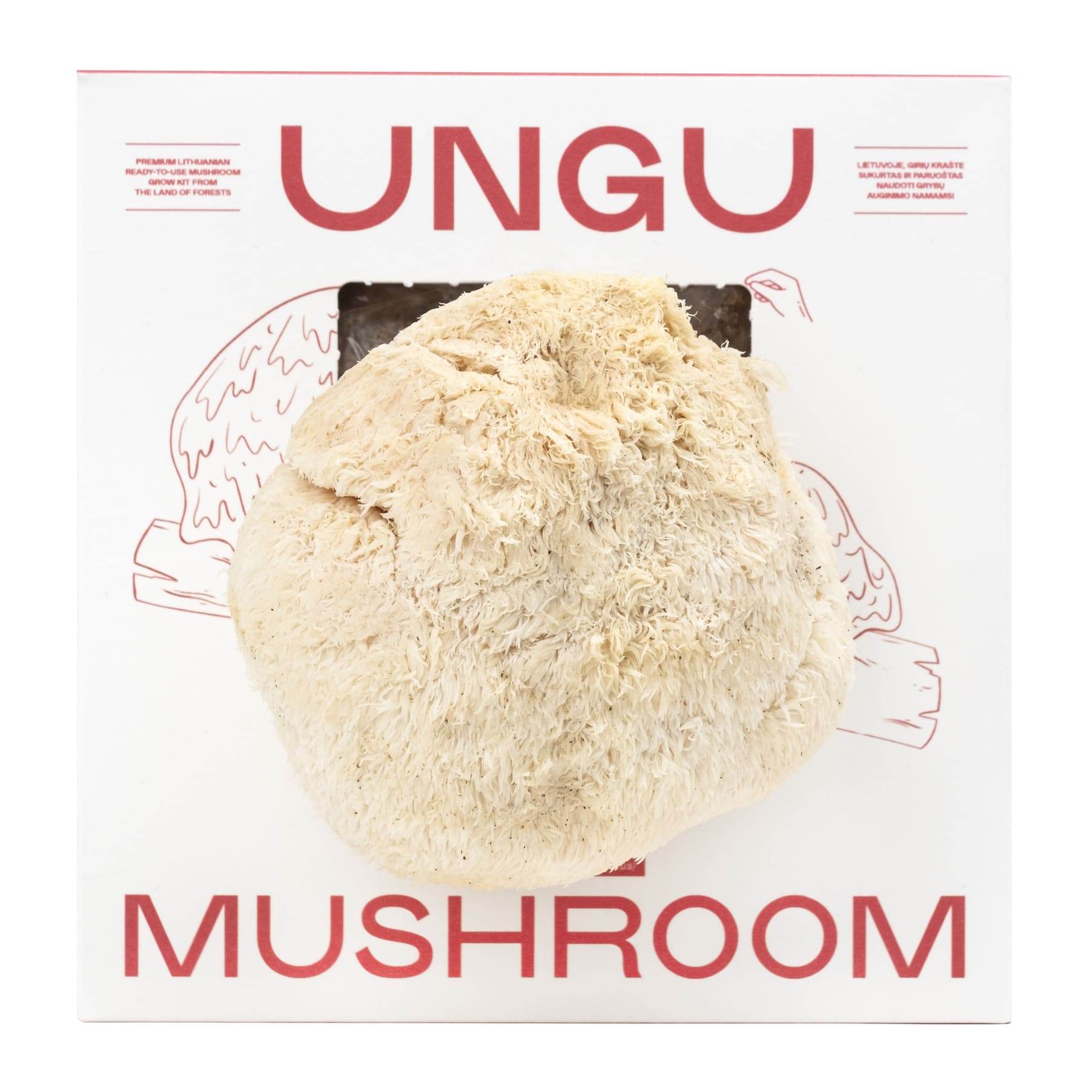 Lion’s Mane Grow Kit | Size M - UNGU