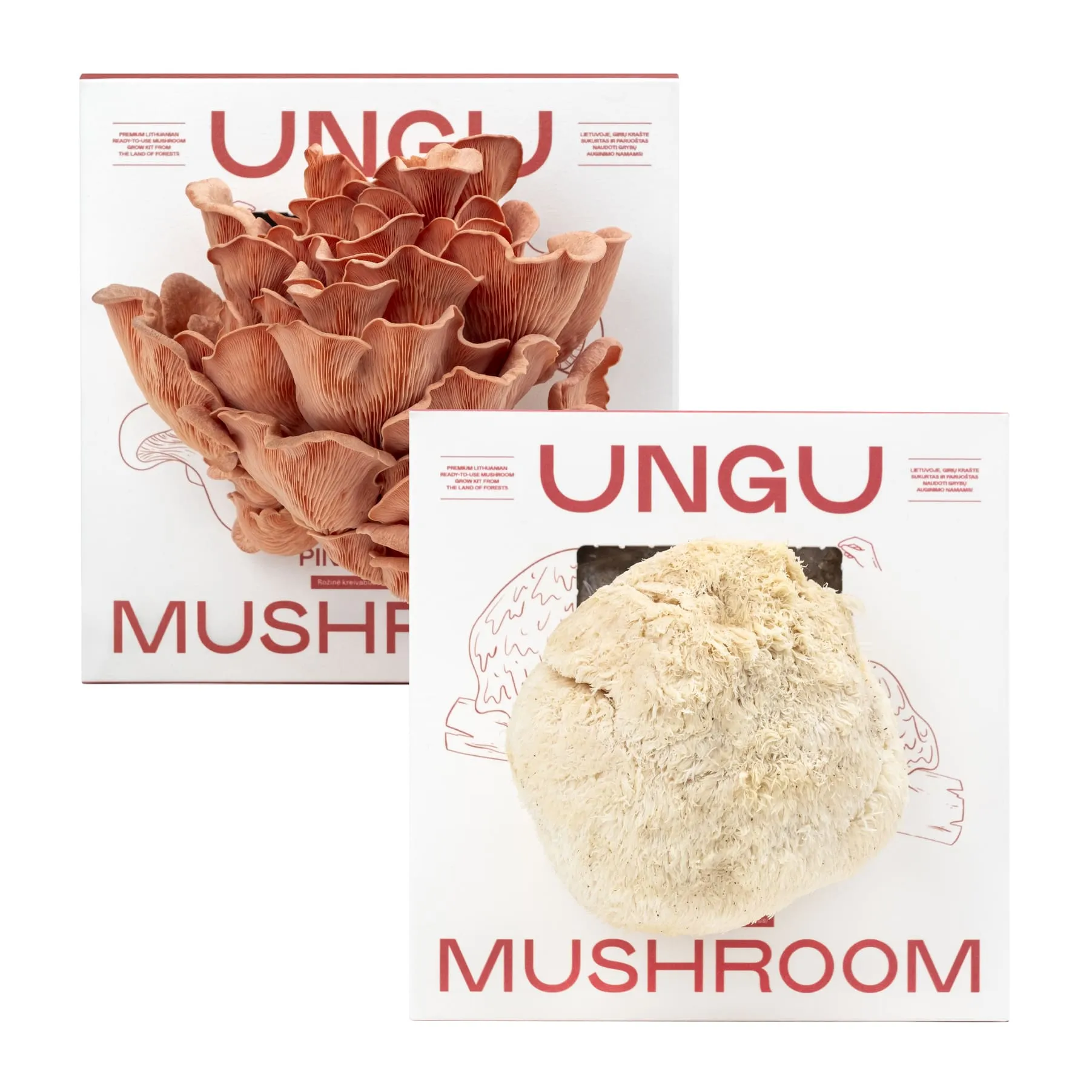 LION'S MANE & PINK OYSTER MUSHROOM GROW KITS | SIZE M - UNGU