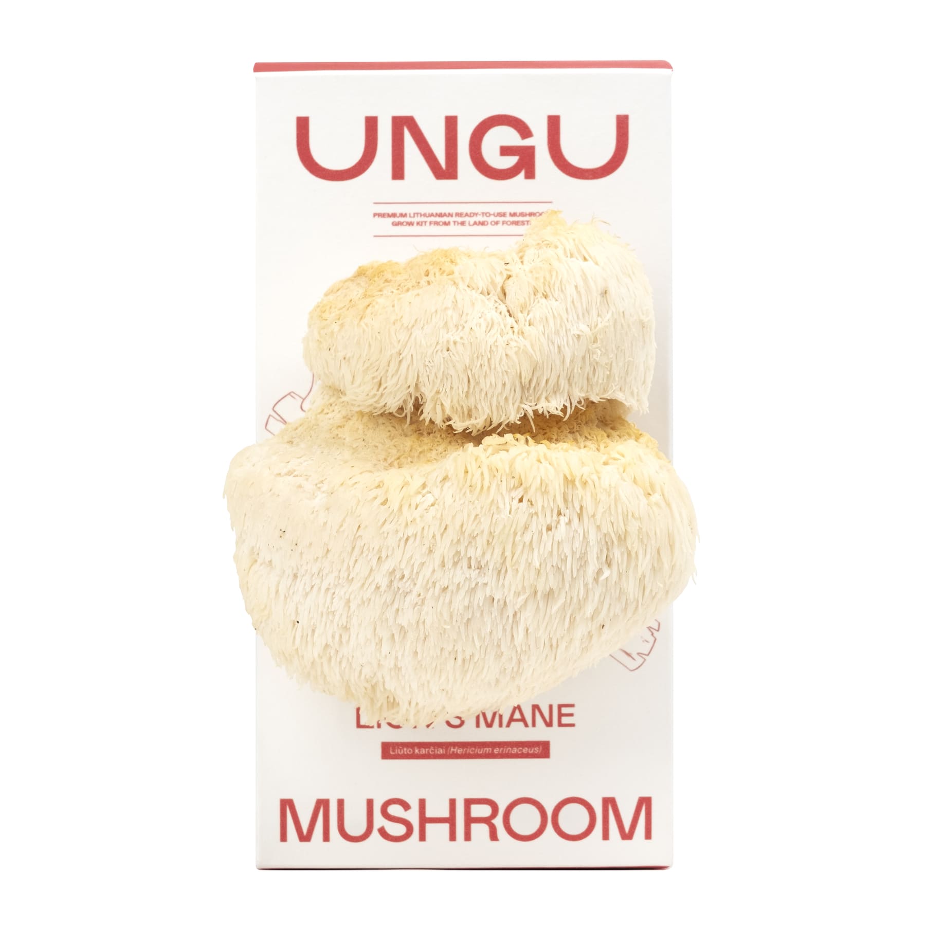 Lion’s Mane Grow Kit | Size S - UNGU